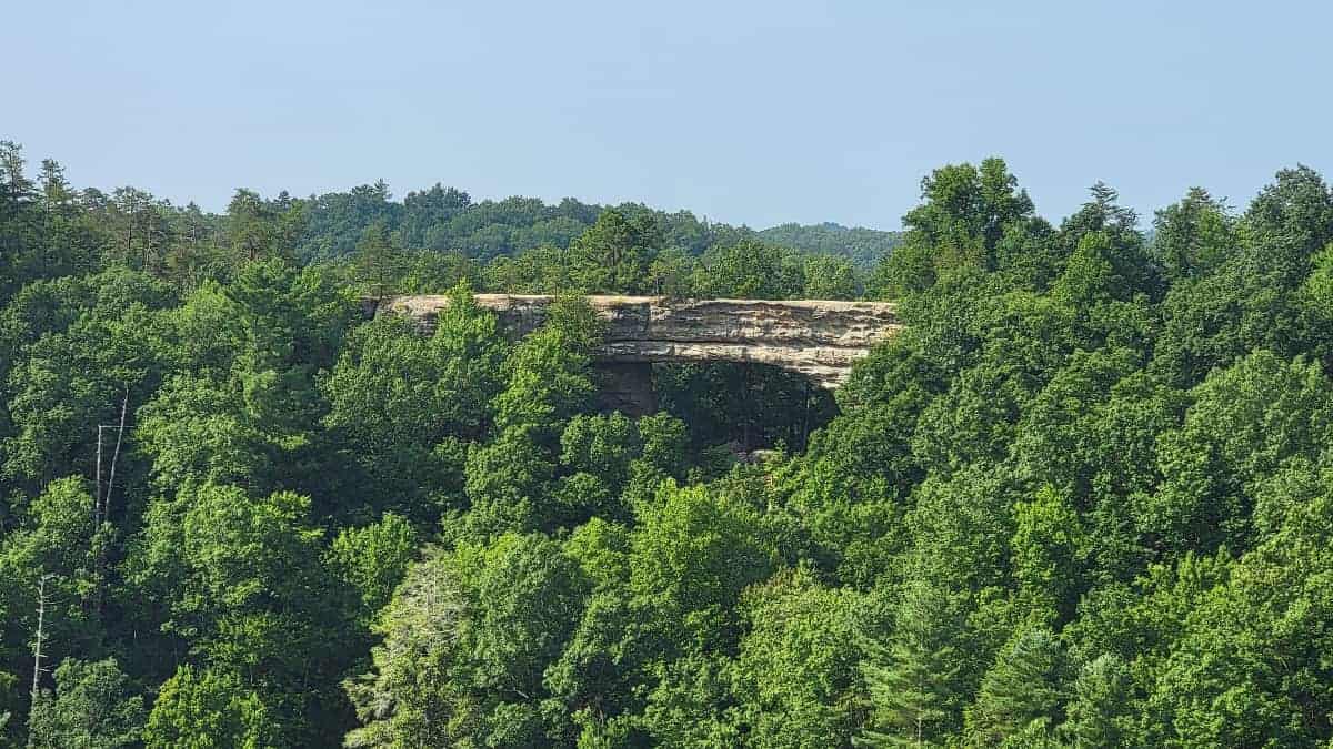 Hiking to Natural Bridge in Red River Gorge: Everything You Need to ...